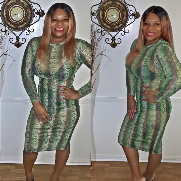 Dresses | Sheer Dress Green Brand New See Through | Poshmark